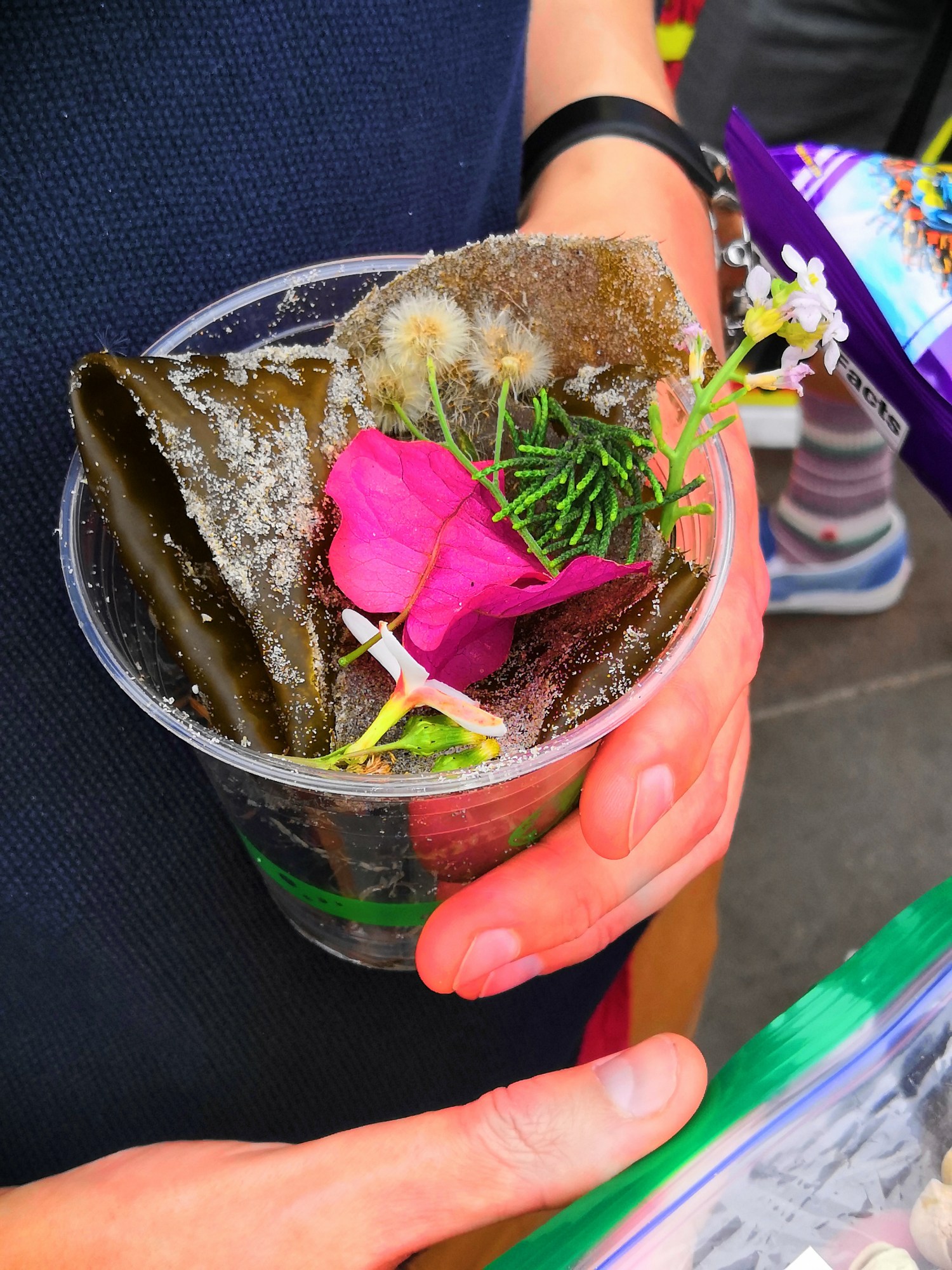 FEEDING FOOD FUTURES – Experimental Food Design Research